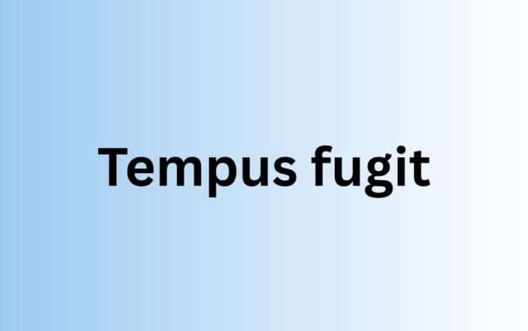 Tempus fugit - Bedeutung und Herkunft